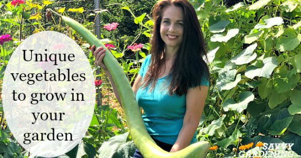 Unique Vegetables to Grow in Your Garden and Containers