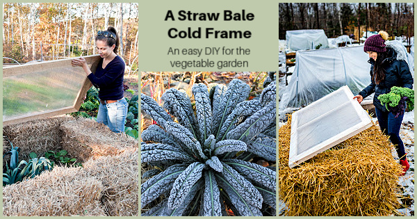 How to Make and Use a Straw Bale Cold Frame
