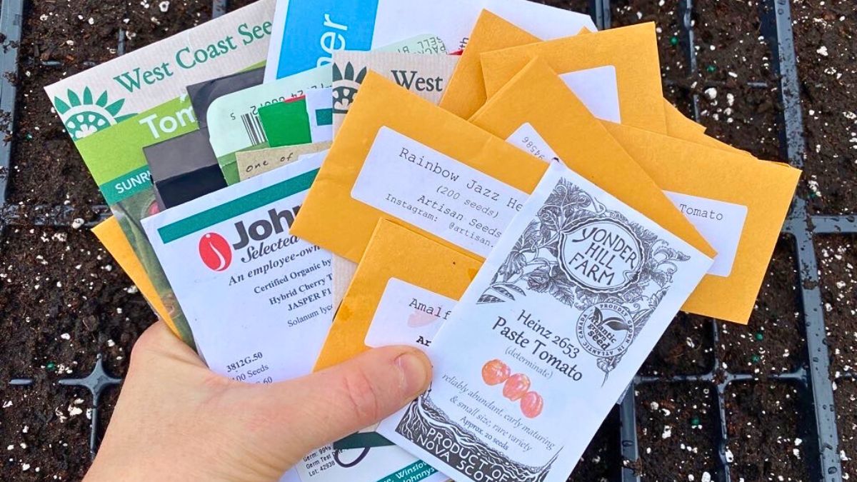 Don't Make These Mistakes When Ordering Seeds